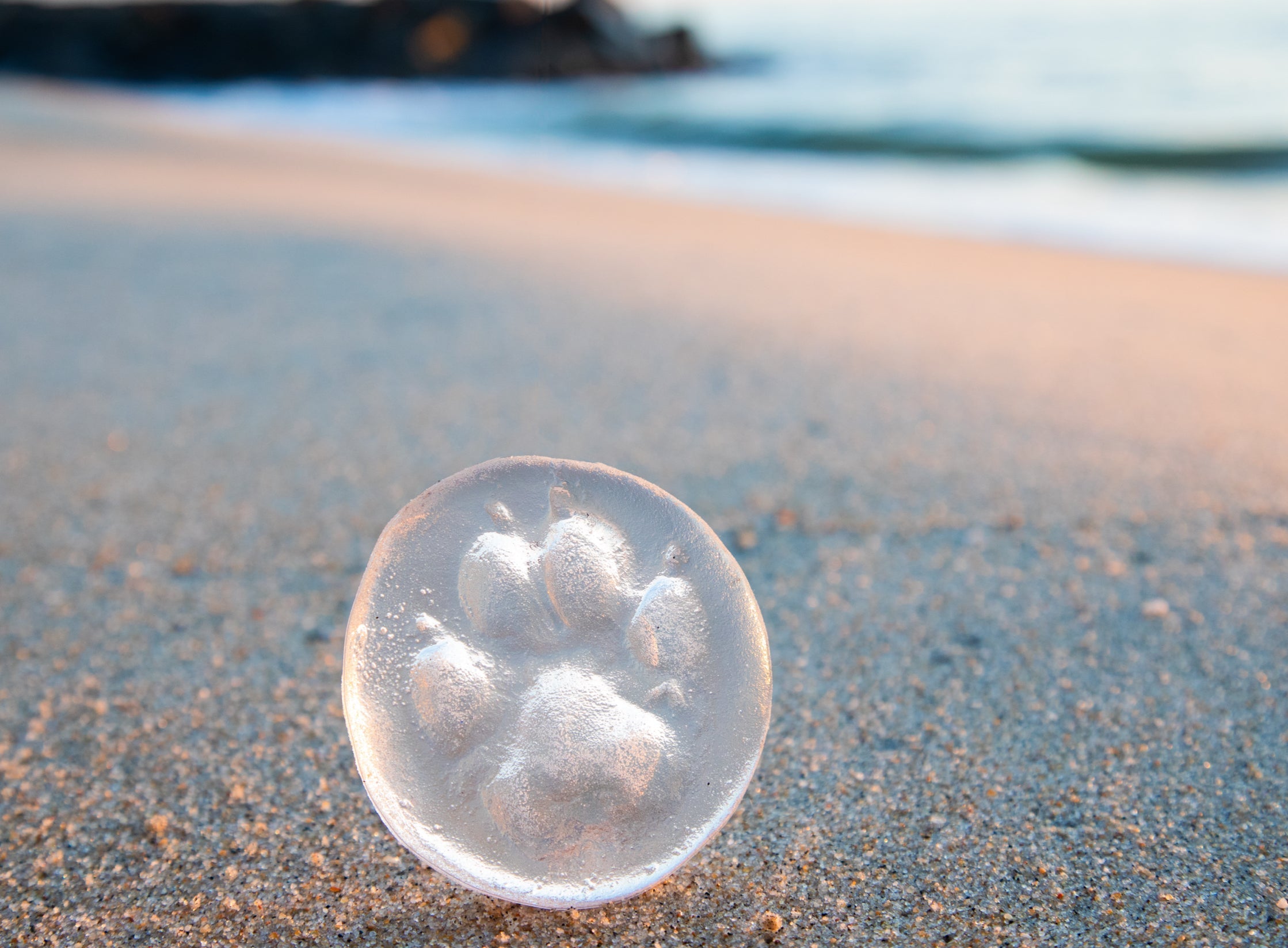 The Ritual of Conversion: Why Your Pet’s Print Deserves a Permanent St ...