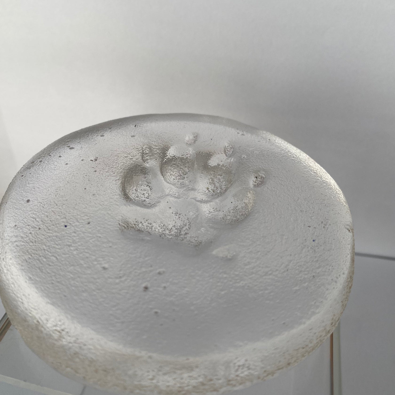 Hot Paws – Hot Paws