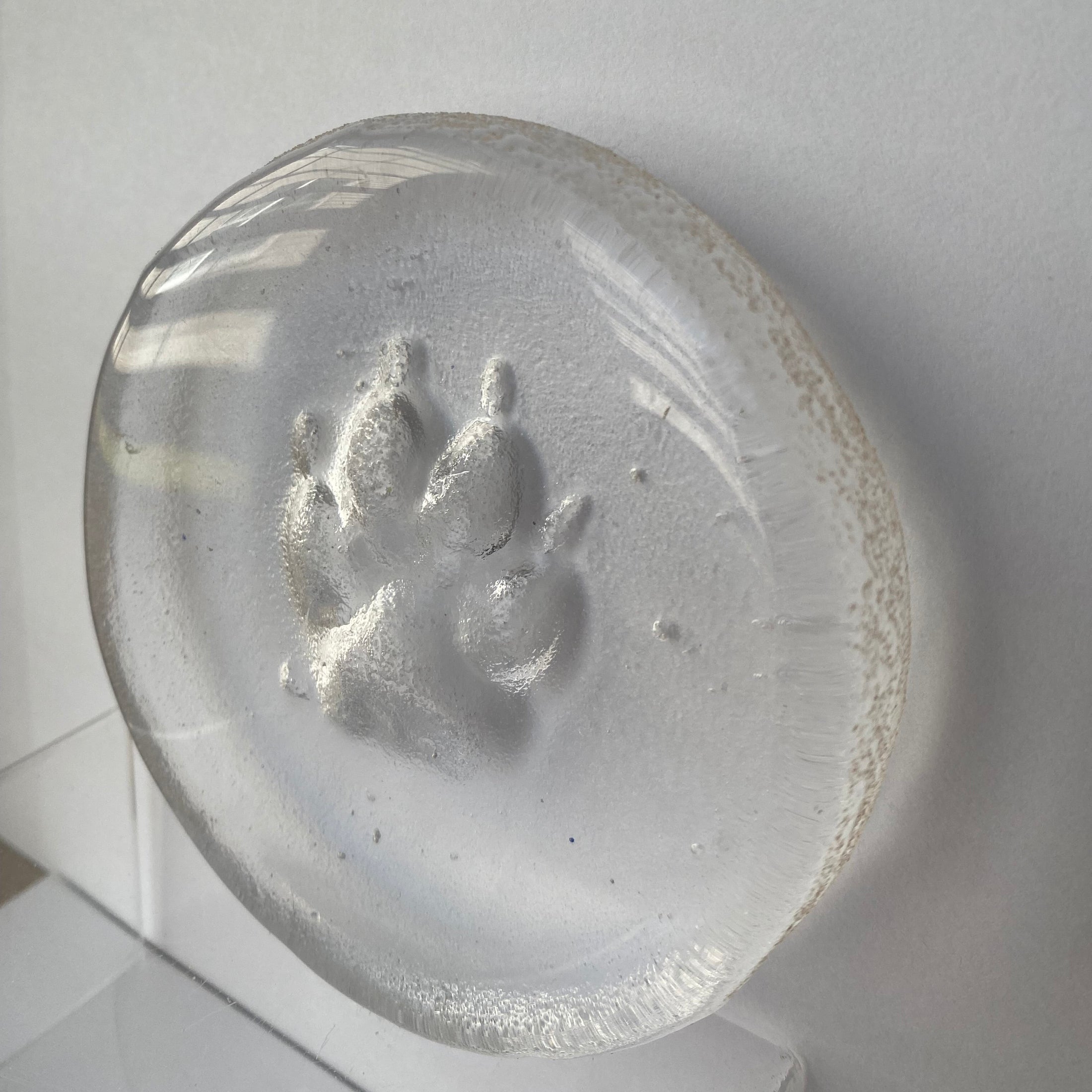 Hot Paws – Hot Paws